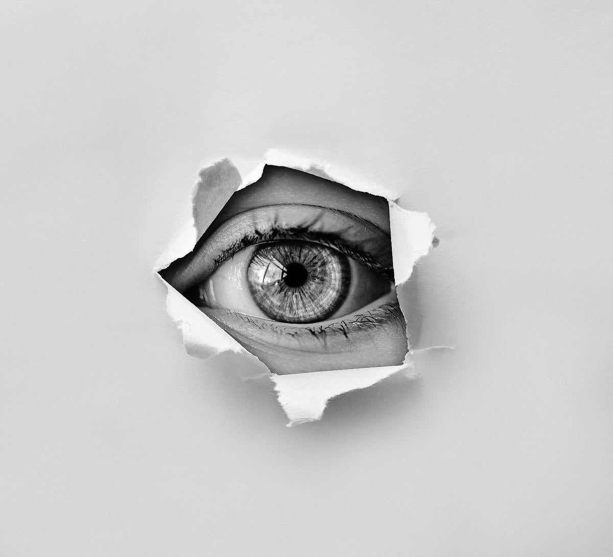 Google Face Match: Great development or worrying trend? | Pangolin Store