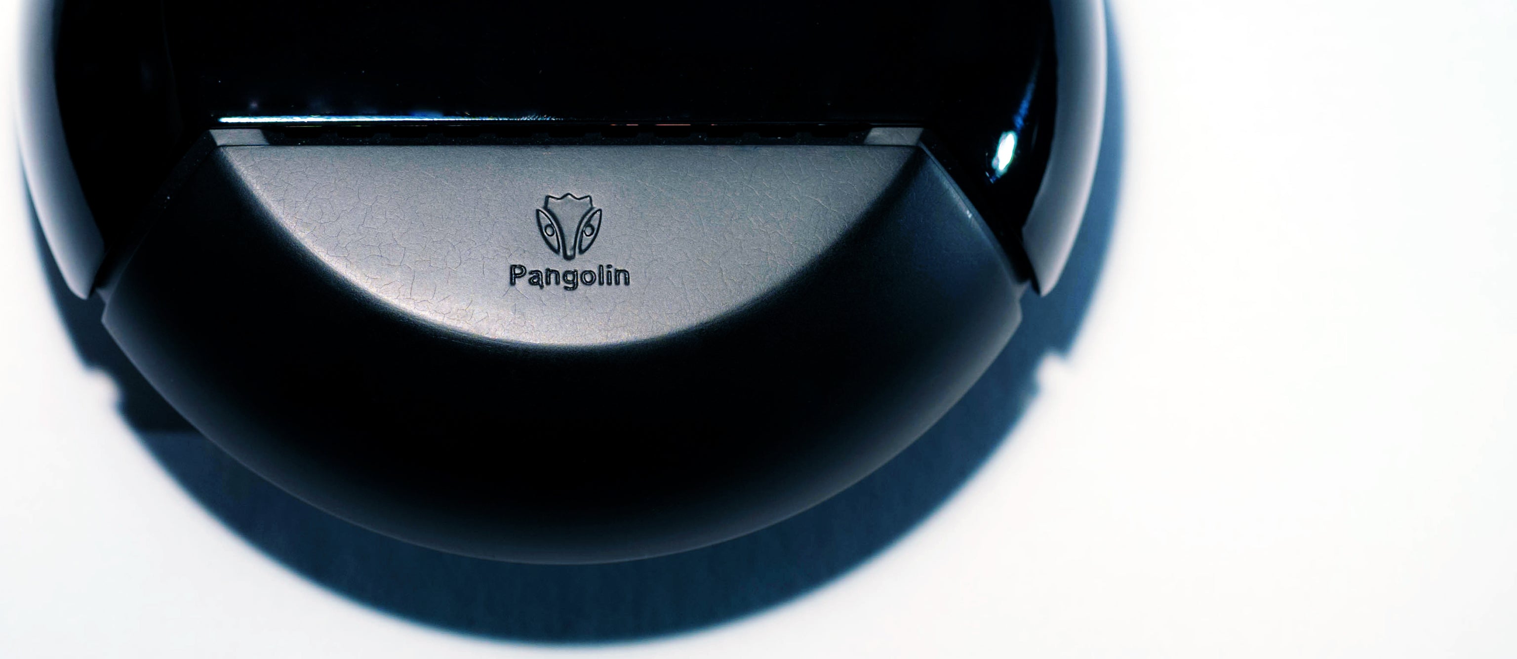 Pangolin Store | Protect Yourself With Pangolin